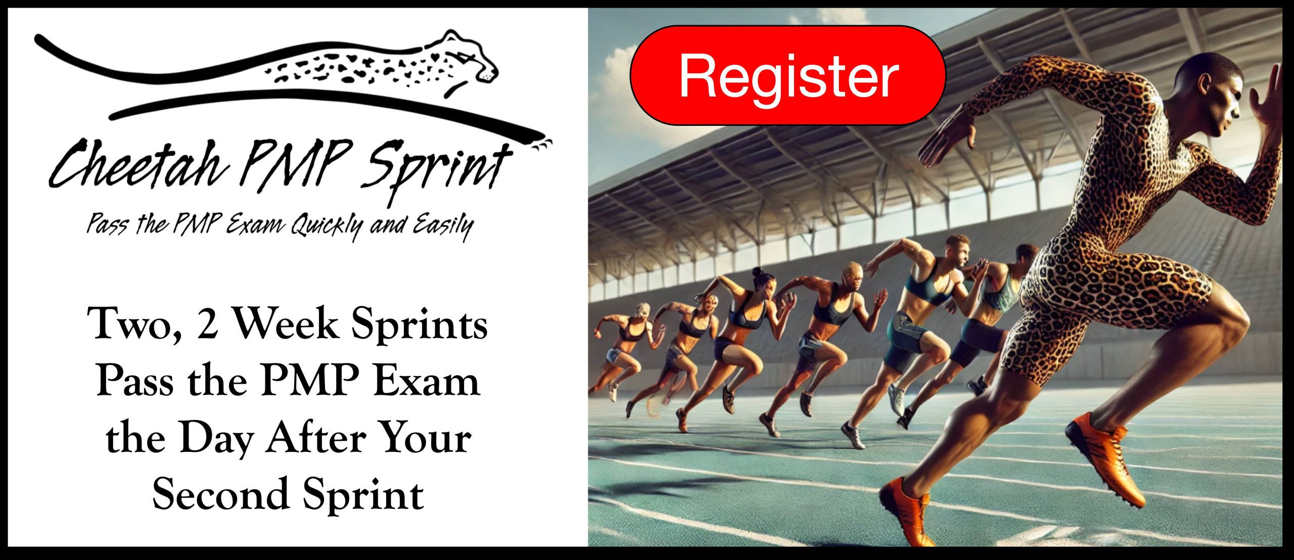 PMP Sprint - 4 Weeks Online