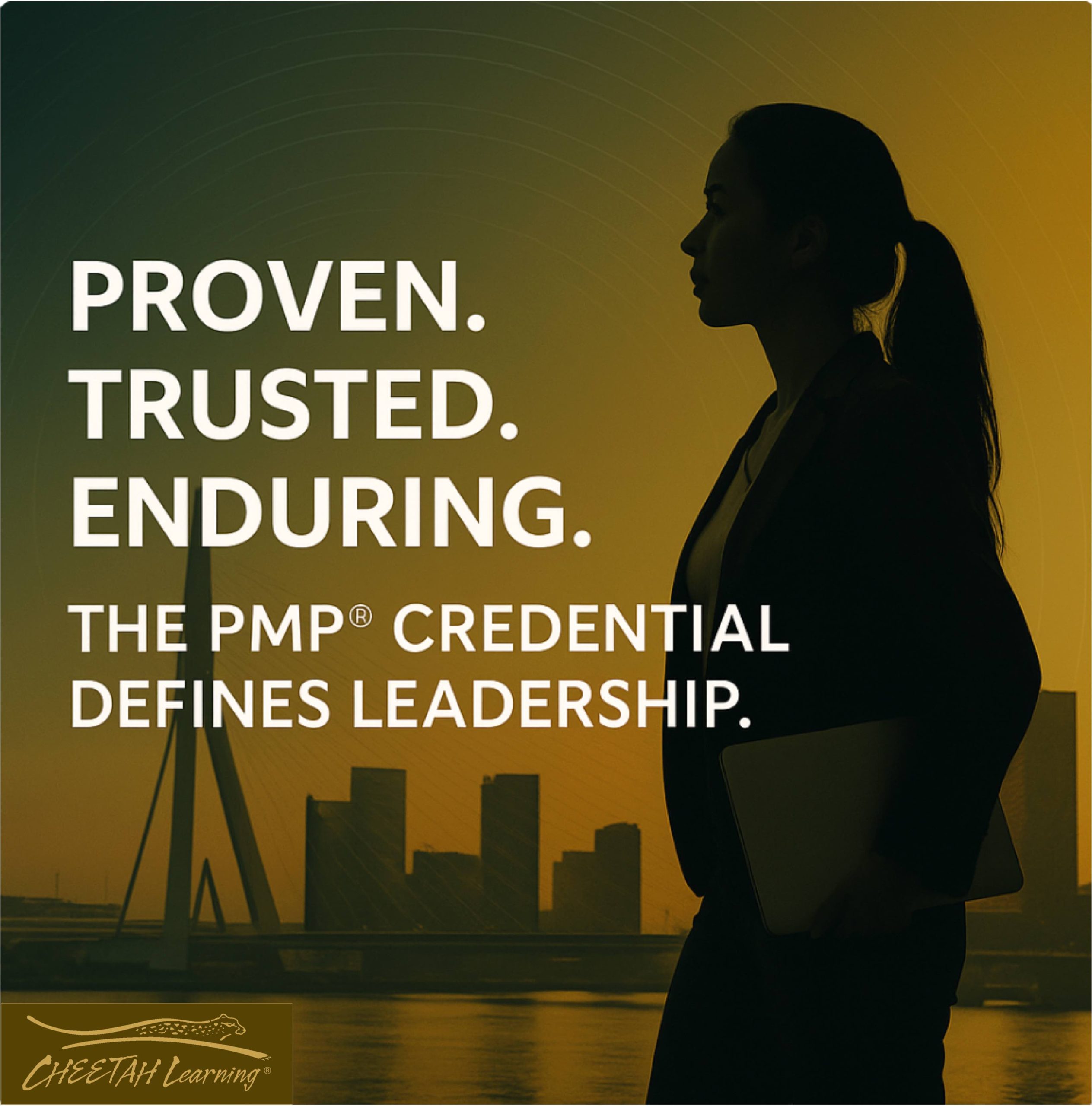 Why the PMP Credential Still Defines Professional Project Leadership